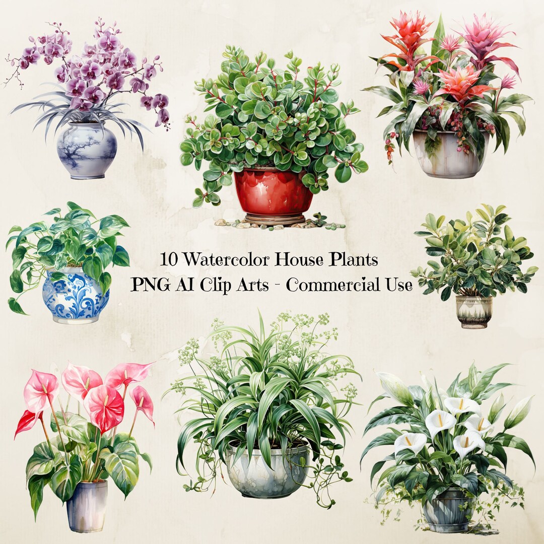 Potted Plants Watercolor Clipart, Potted Plant Clipart, Indoor Potted ...