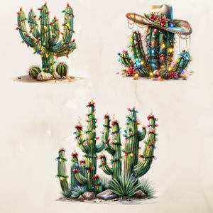 Christmas Cactus Clipart, Christmas Succulents Plants, Christmas Cactus ...