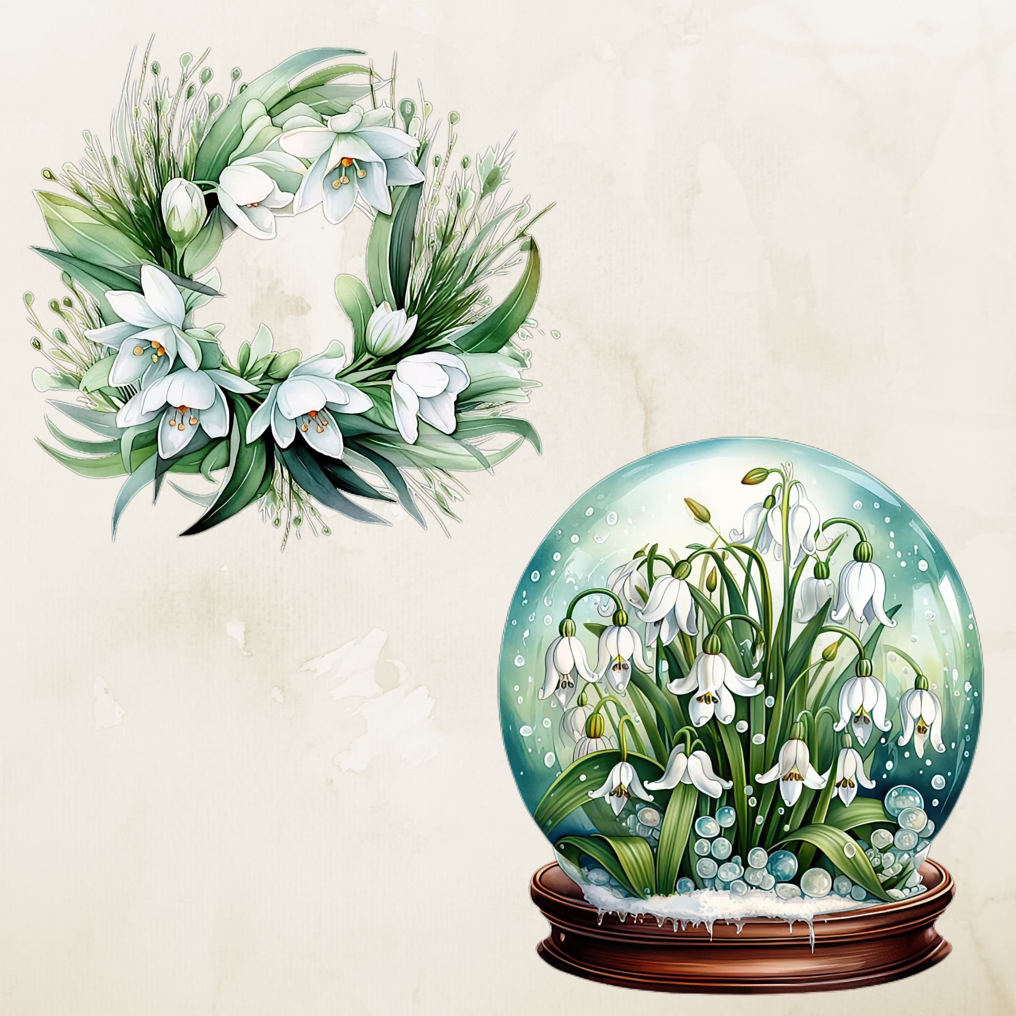 Snowdrop Flower Clipart, Watercolor Snowdrop Clipart, Snowdrop Flowers ...