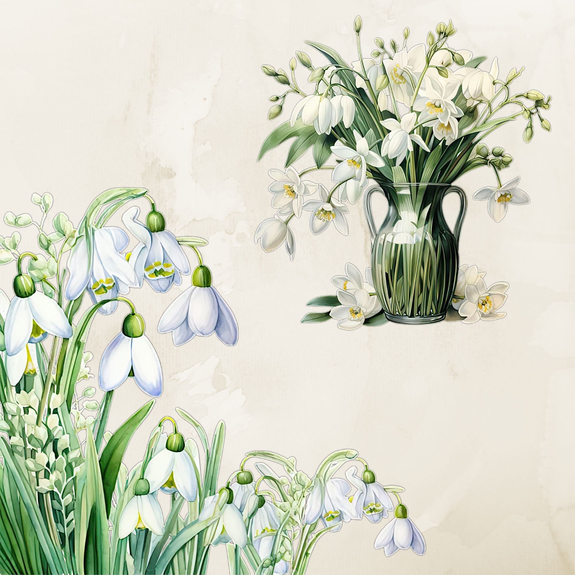 Snowdrop Flower Clipart, Watercolor Snowdrop Clipart, Snowdrop Flowers ...