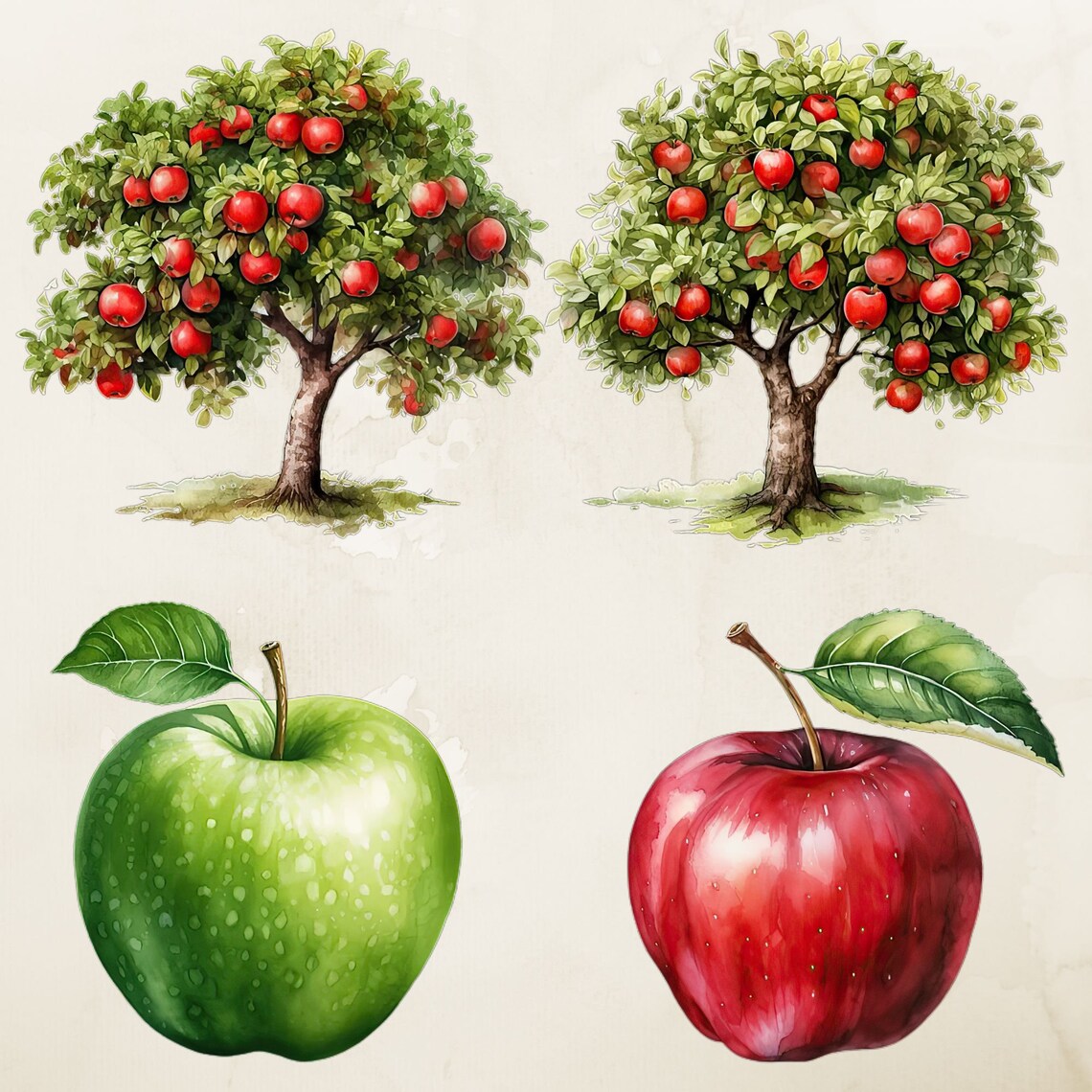 Apple Picking Clipart, Watercolor Apples Clipart, Apple Orchard ...