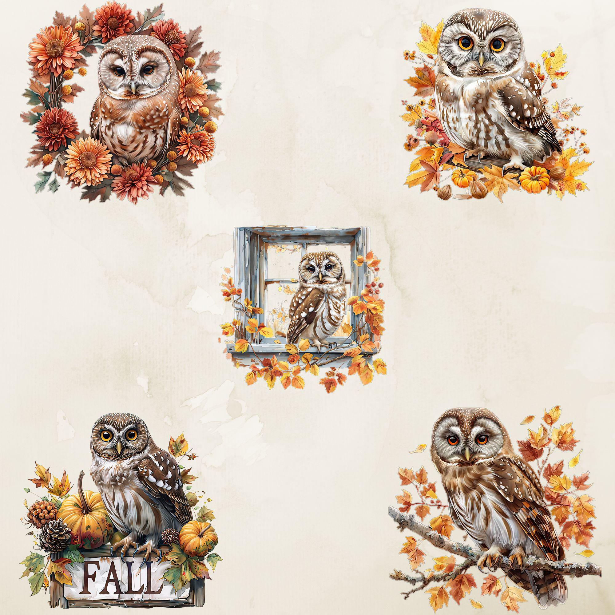 Autumn Owl Clipart, Autumn Cute Owl Watercolor Clipart, Halloween Owl ...