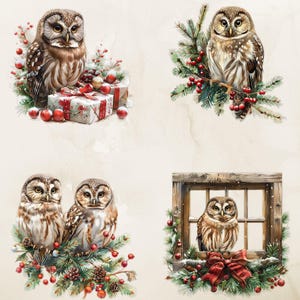 Christmas Owl Clipart, Cute Christmas Owl Clipart Bundle, Christmas Owl ...