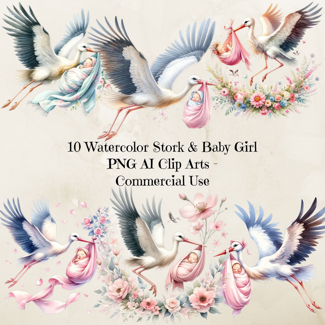 Watercolor Stork Baby Girl Clipart, Nursery Art (PNG, Digital Download ...