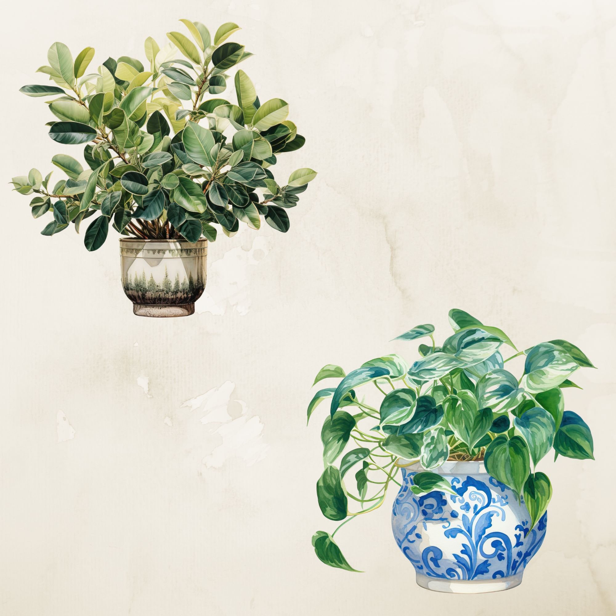 Potted Plants Watercolor Clipart, Potted Plant Clipart, Indoor Potted ...