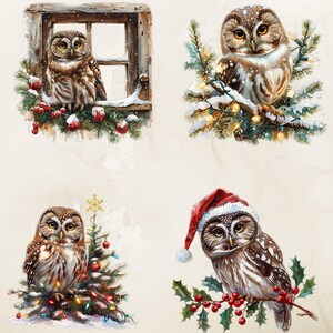Christmas Owl Clipart, Cute Christmas Owl Clipart Bundle, Christmas Owl ...