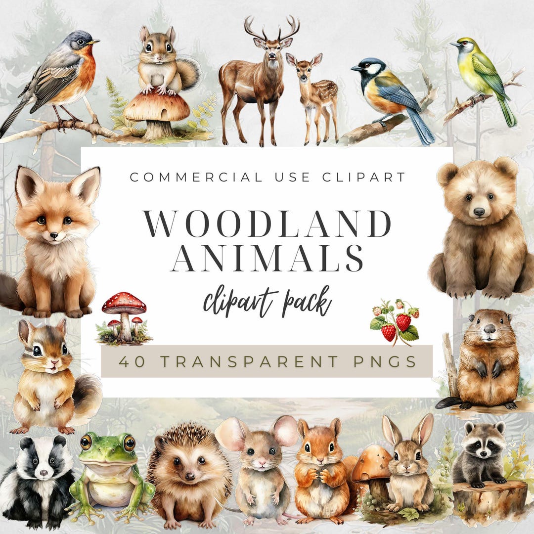 Woodland Creatures Clipart Pack, Fox Bear Deer Owl Bunny Raccoon ...