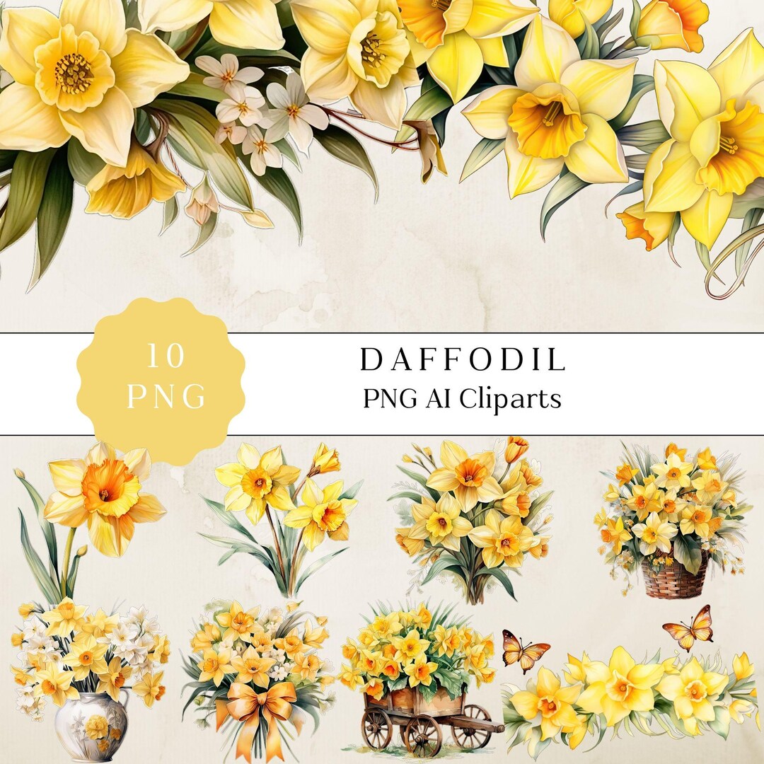 Watercolor Daffodil Clipart, Spring Floral Png, High-quality Floral PNG ...