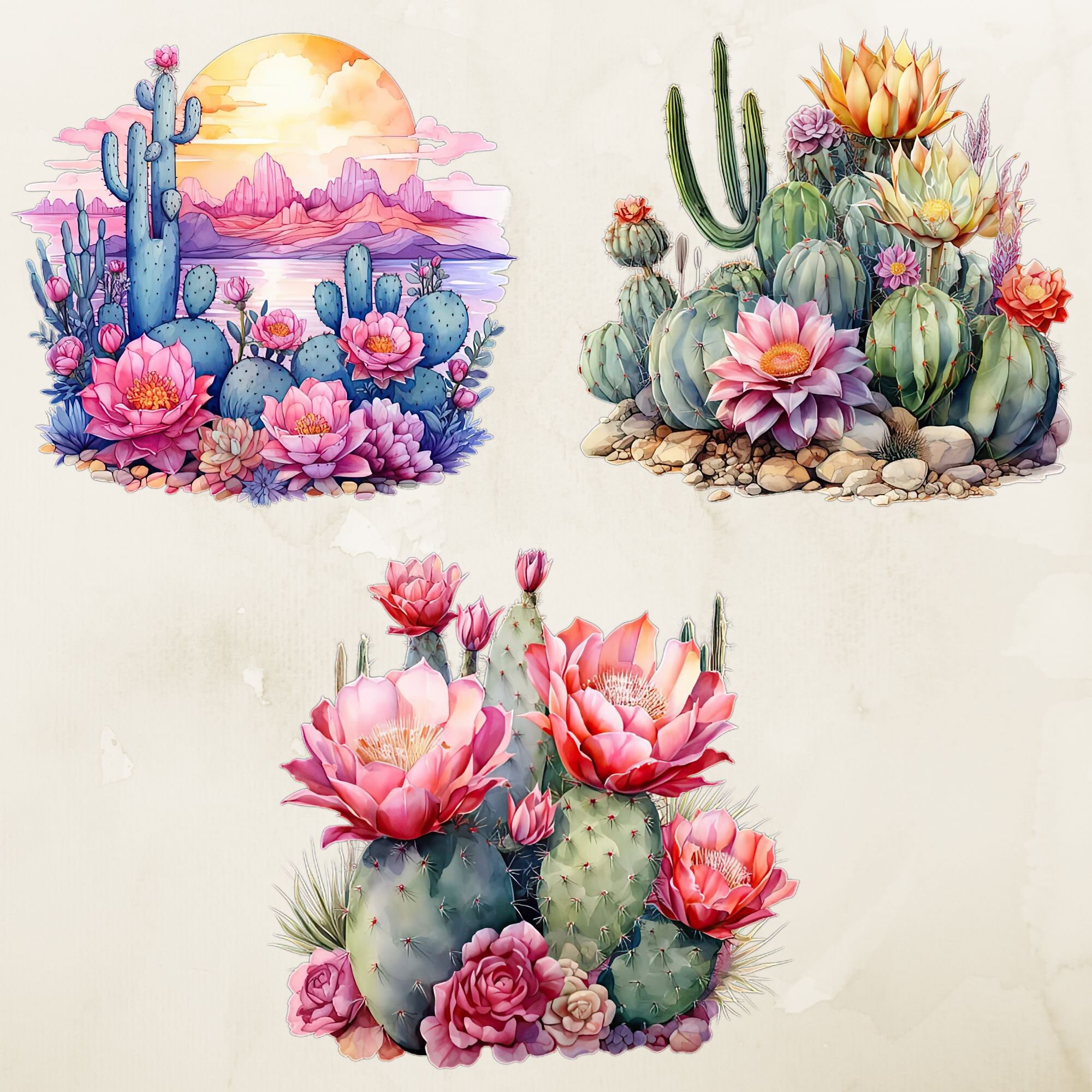 Desert Cactus Clipart, Desert Sunset Png, Western Png, Western ...
