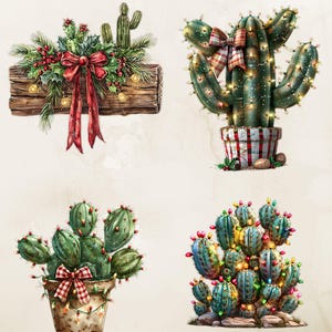 Christmas Cactus Clipart, Christmas Succulents Plants, Christmas Cactus ...