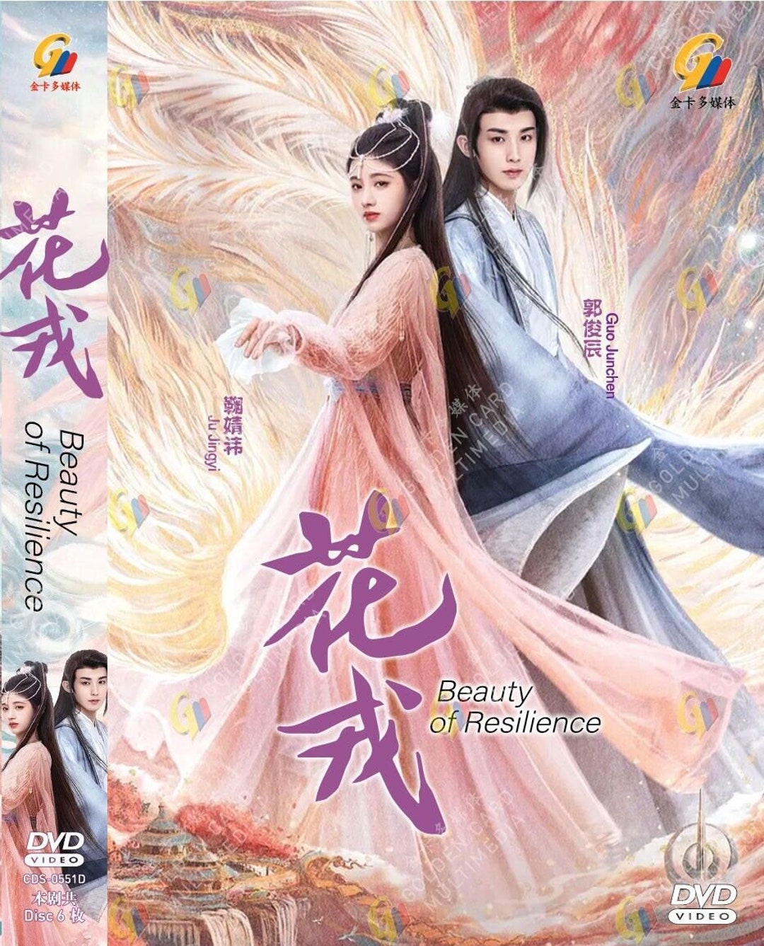 Chinese Drama Beauty of Resilience 花戎 Vol.1-36 End Dvd English Subtitle ...