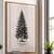 50 State Trees Vintage Sketch Bundle, Forest Print, Antique Tree ...