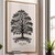 Kentucky State Tree | Tulip Poplar | Vintage Sketch | Tree Poster ...