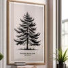 50 State Trees Vintage Sketch Bundle, Forest Print, Antique Tree ...