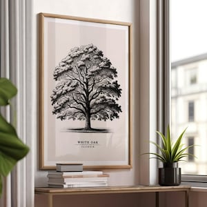 Illinois White Oak, State Tree, Vintage Sketch, Tree Poster, Antique ...