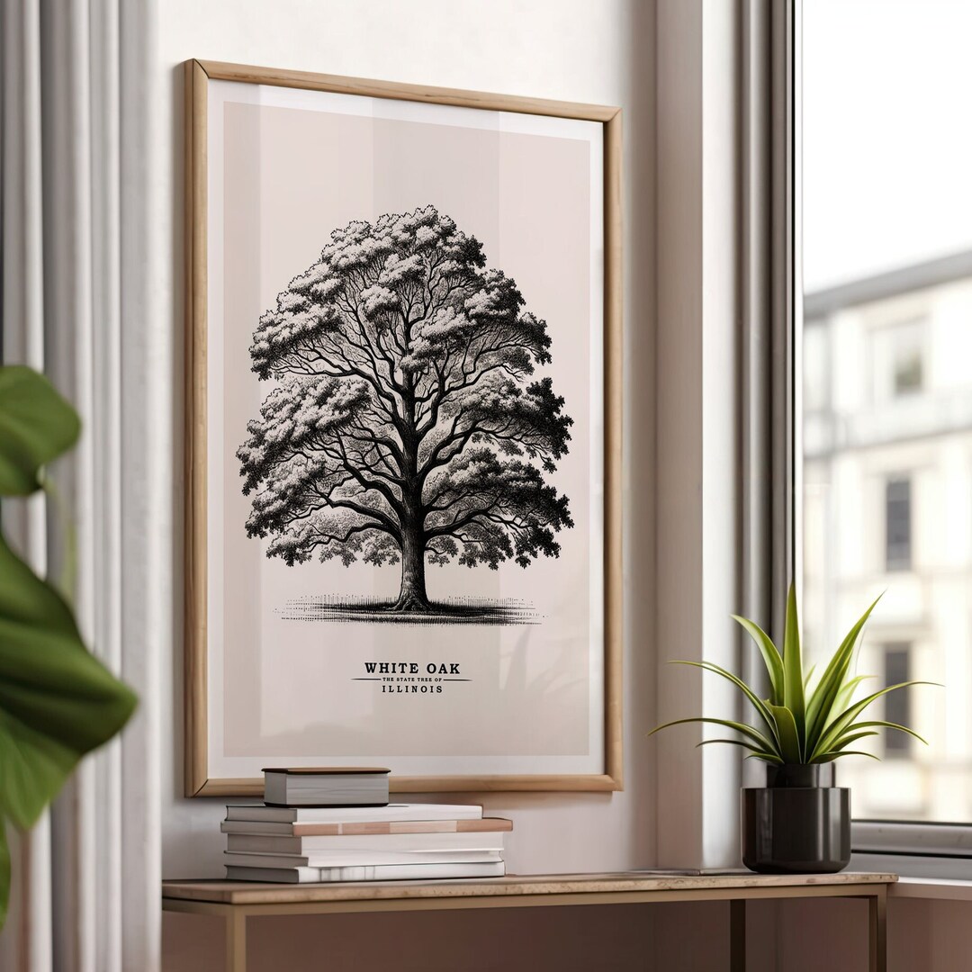Illinois White Oak, State Tree, Vintage Sketch, Tree Poster, Antique ...