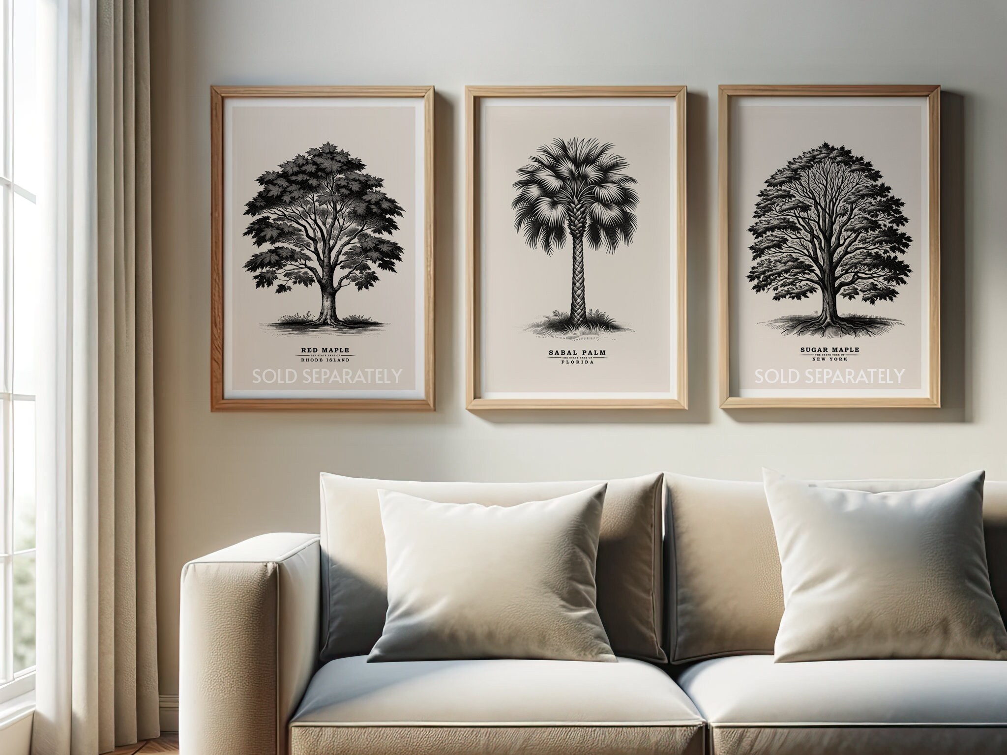 Florida Sabal Palm, State Tree, Vintage Sketch, Tree Poster, Antique ...