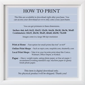 50 State Trees Vintage Sketch Bundle, Forest Print, Antique Tree ...