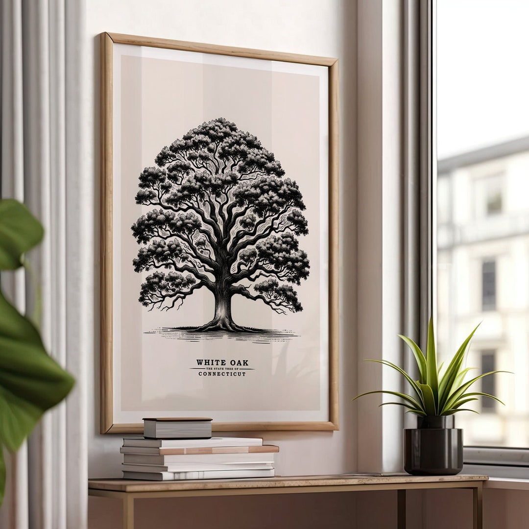 Connecticut State Tree | White Oak | Vintage Sketch | Tree Poster ...