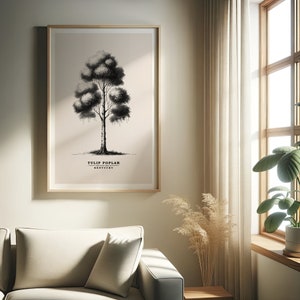 Kentucky State Tree | Tulip Poplar | Vintage Sketch | Tree Poster ...