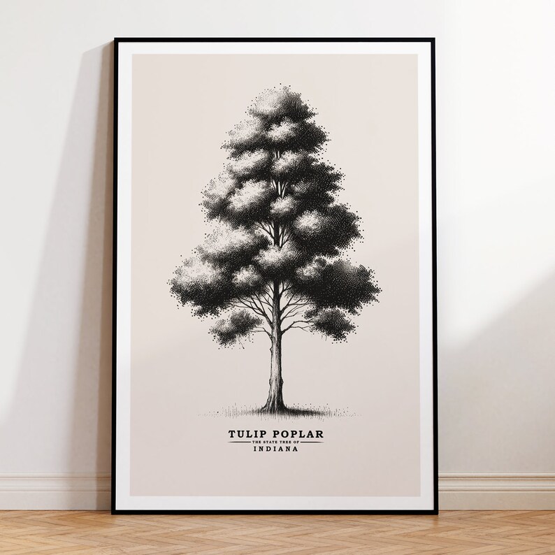 Indiana State Tree Tulpenbaum Pappel, Vintage Skizze, Baum Poster ...