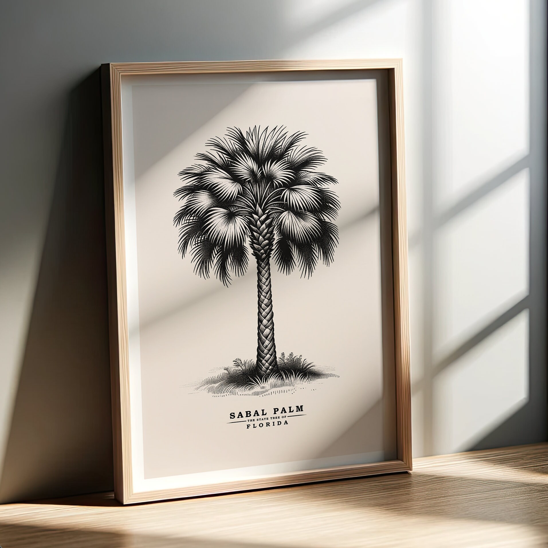 Florida Sabal Palm, State Tree, Vintage Sketch, Tree Poster, Antique ...