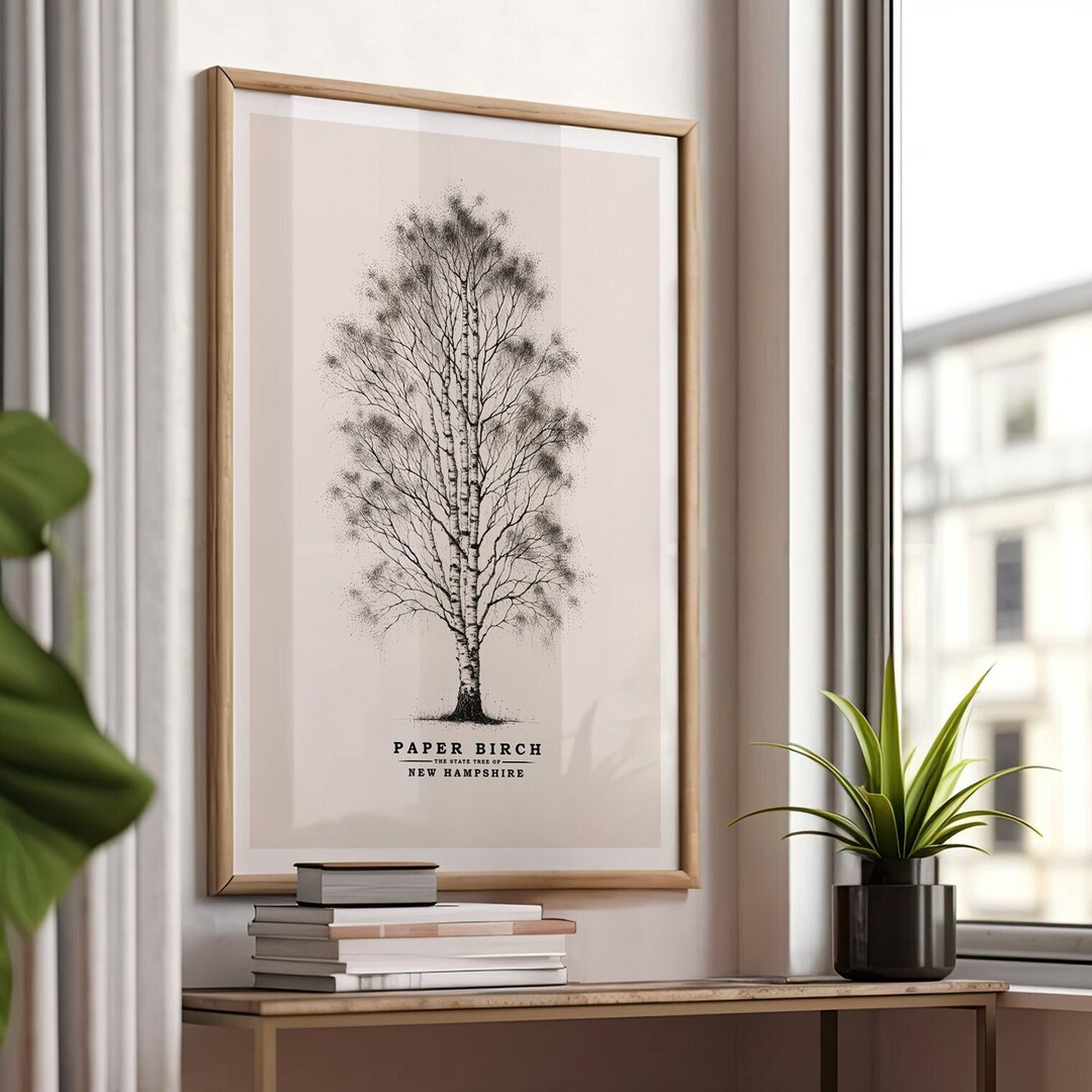 New Hampshire State Tree | Paper Birch | Vintage Sketch | Tree Poster ...