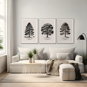 50 State Trees Vintage Sketch Bundle, Forest Print, Antique Tree ...