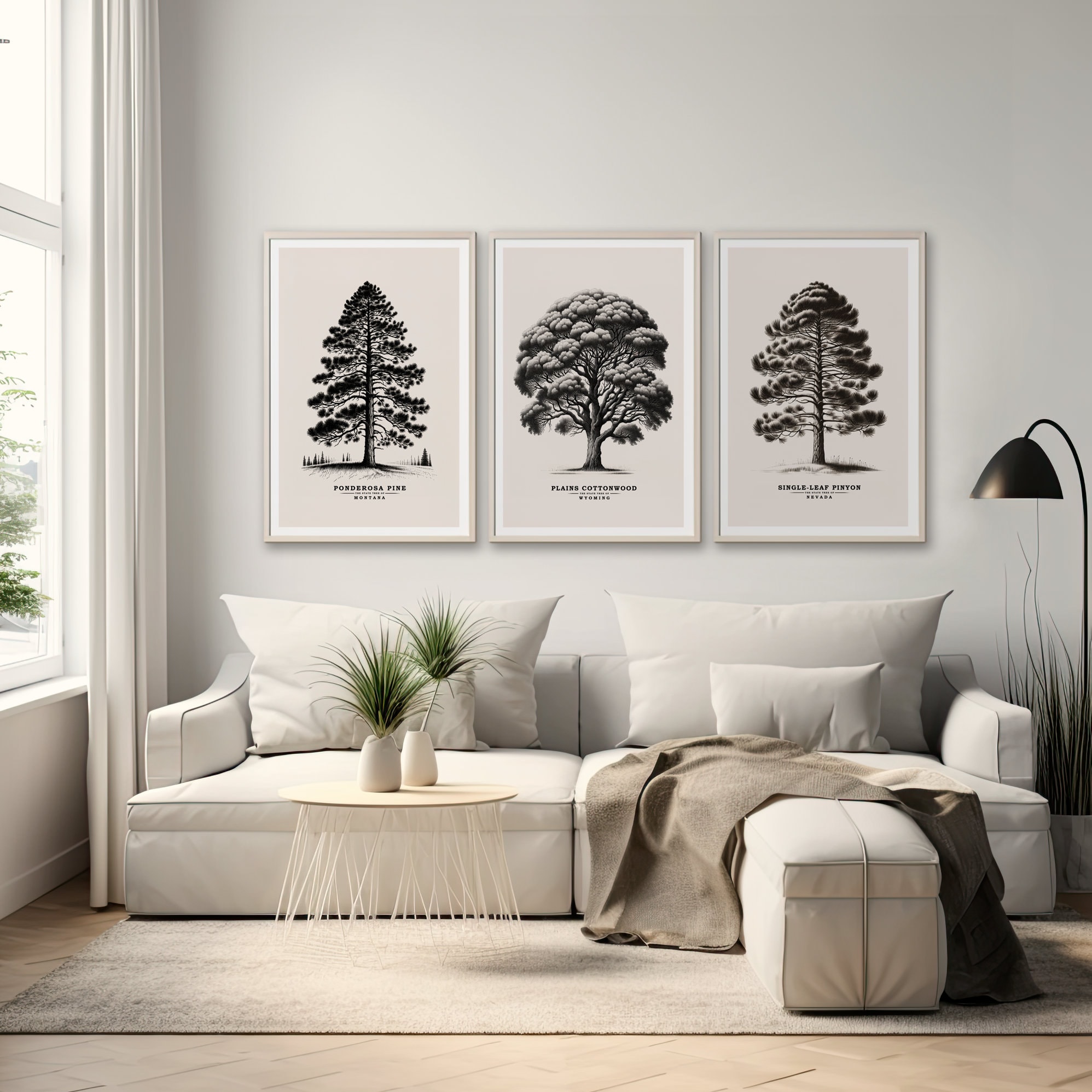 50 State Trees Vintage Sketch Bundle, Forest Print, Antique Tree ...