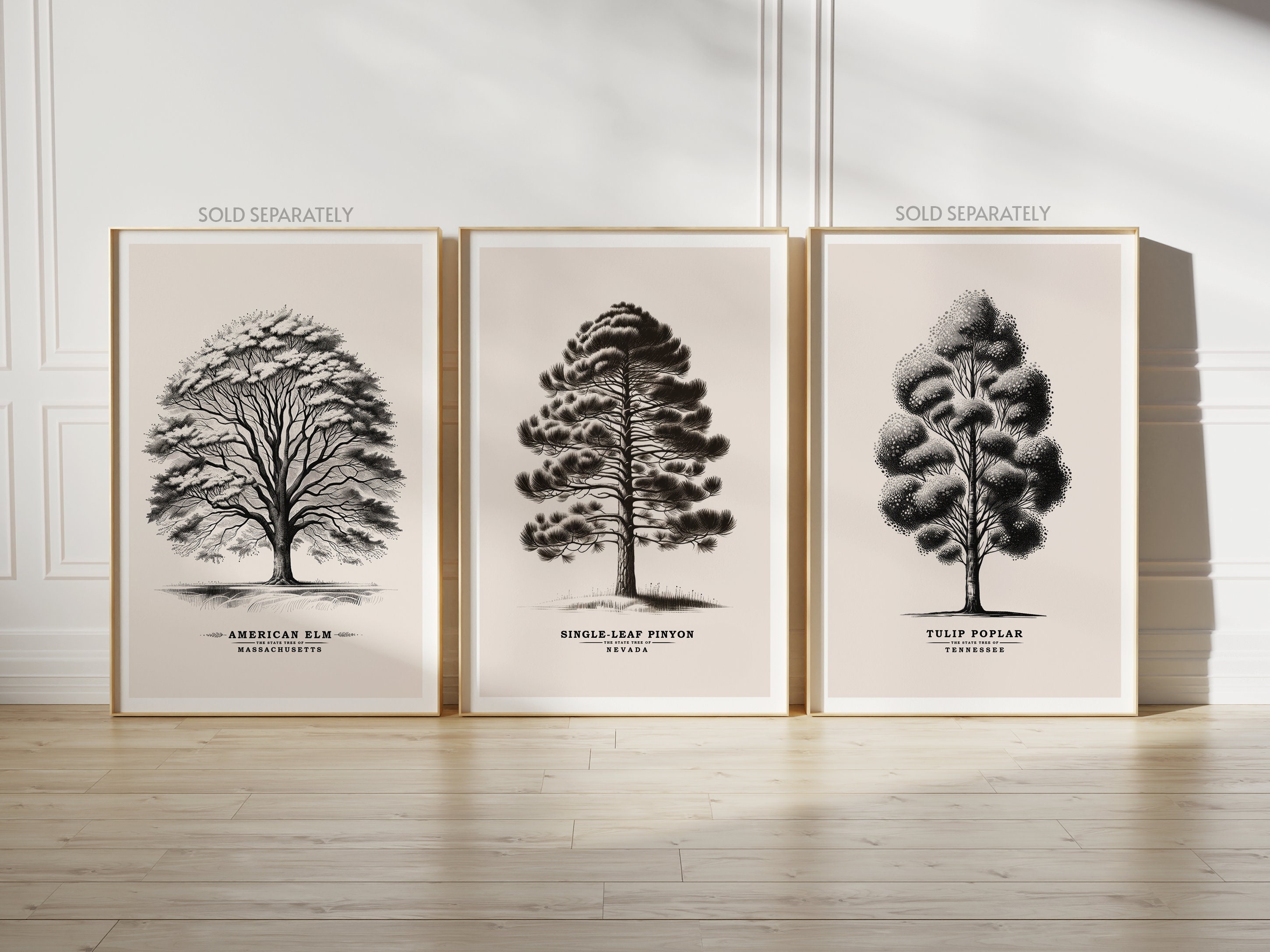 Nevada State Tree | Single-leaf Pinyon | Vintage Sketch | Tree Poster ...