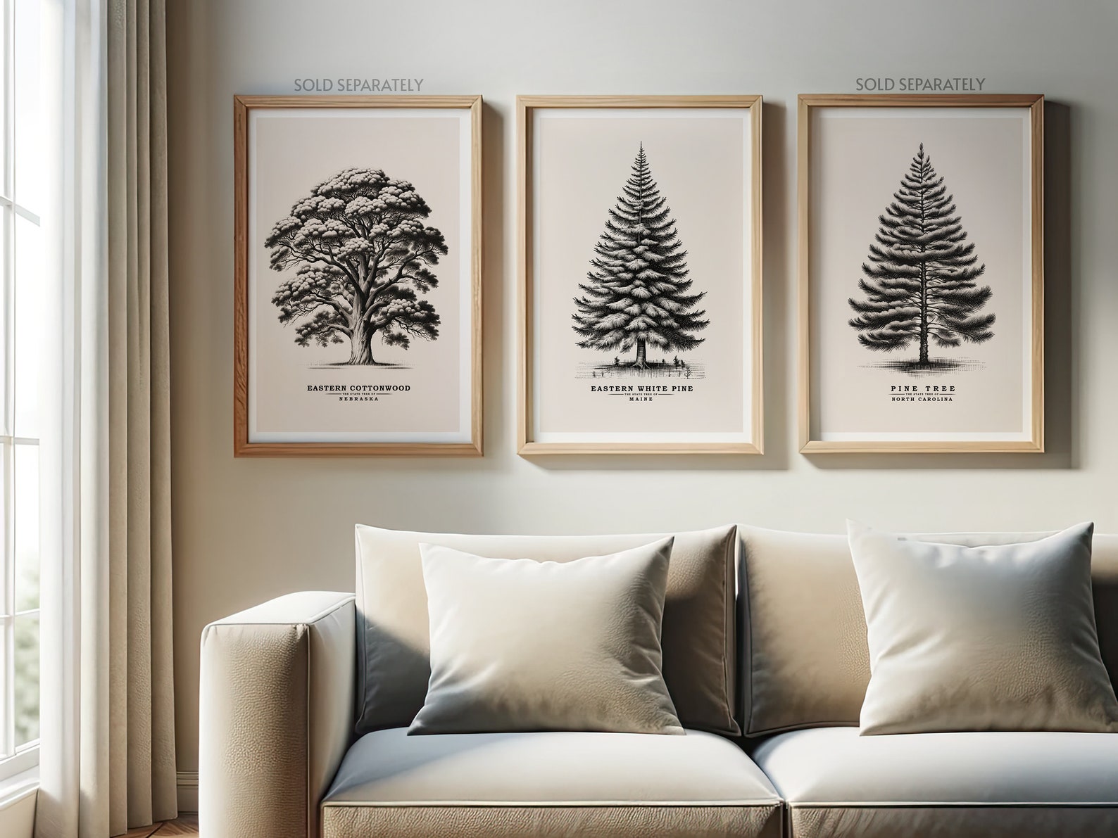 Maine State Tree | Eastern White Pine | Vintage Sketch | Tree Poster ...