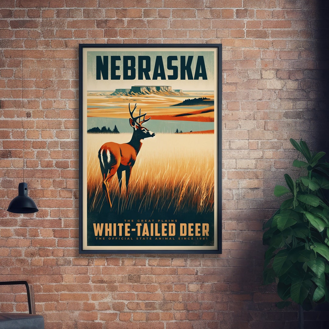 Nebraska State Animal | Vintage Prints | White-tailed Deer | Print at ...