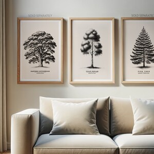 Kentucky State Tree | Tulip Poplar | Vintage Sketch | Tree Poster ...