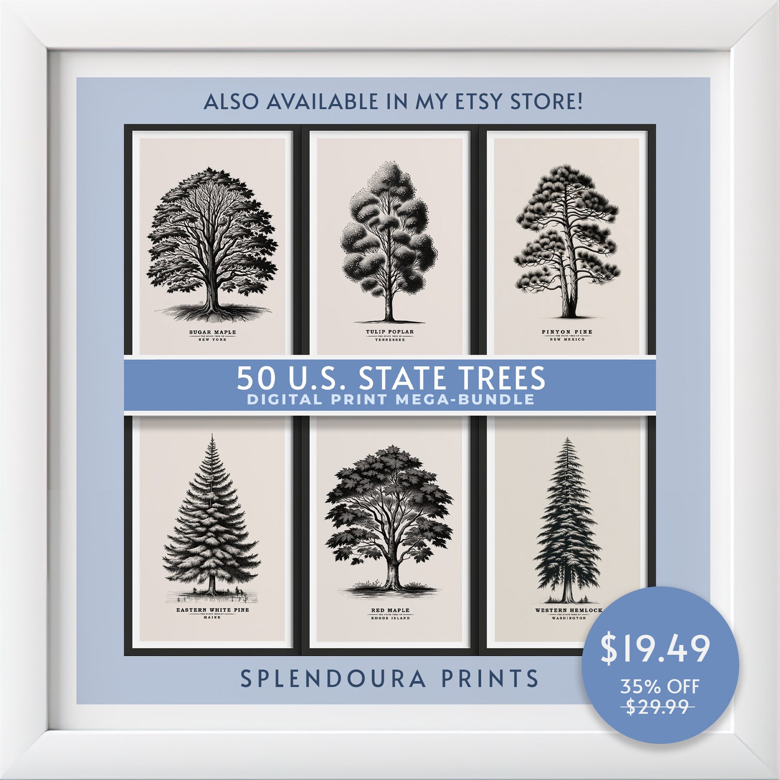 Nevada State Tree | Single-leaf Pinyon | Vintage Sketch | Tree Poster ...
