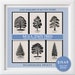 Nevada State Tree | Single-leaf Pinyon | Vintage Sketch | Tree Poster ...