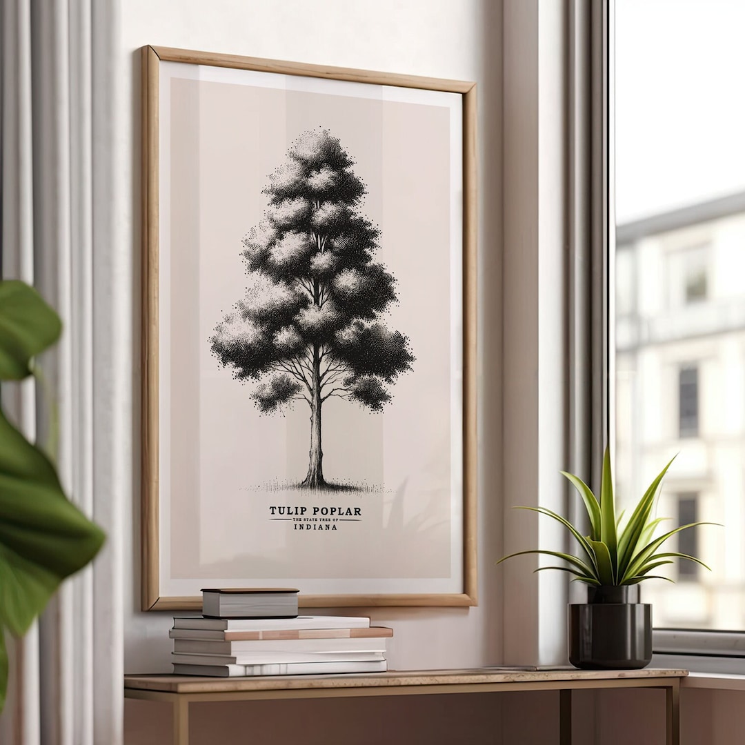 Indiana State Tree - Tulip Poplar, Vintage Sketch, Tree Poster, Antique ...