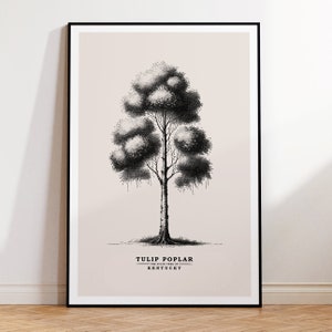 Kentucky State Tree | Tulip Poplar | Vintage Sketch | Tree Poster ...