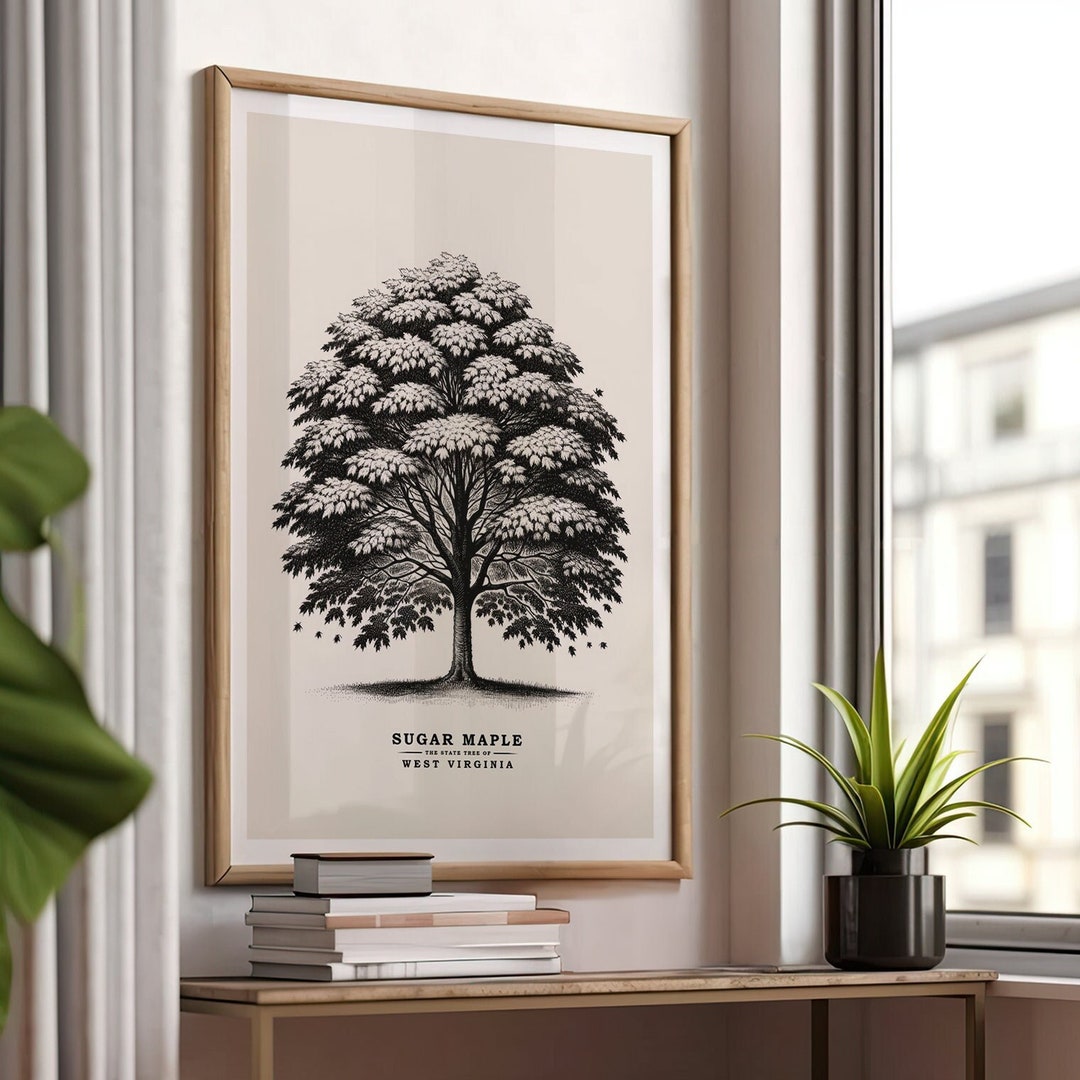 West Virginia State Tree | Sugar Maple | Vintage Sketch | Tree Poster ...