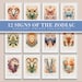 12 Signs of the Zodiac Gallery Wall Set, All 12 Horoscopes Bundle ...
