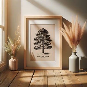 Nevada State Tree | Single-leaf Pinyon | Vintage Sketch | Tree Poster ...