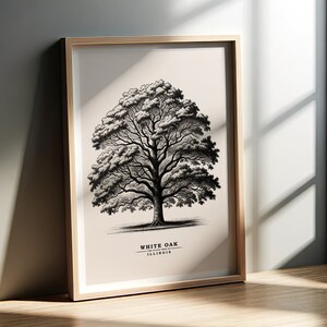 Illinois White Oak, State Tree, Vintage Sketch, Tree Poster, Antique ...
