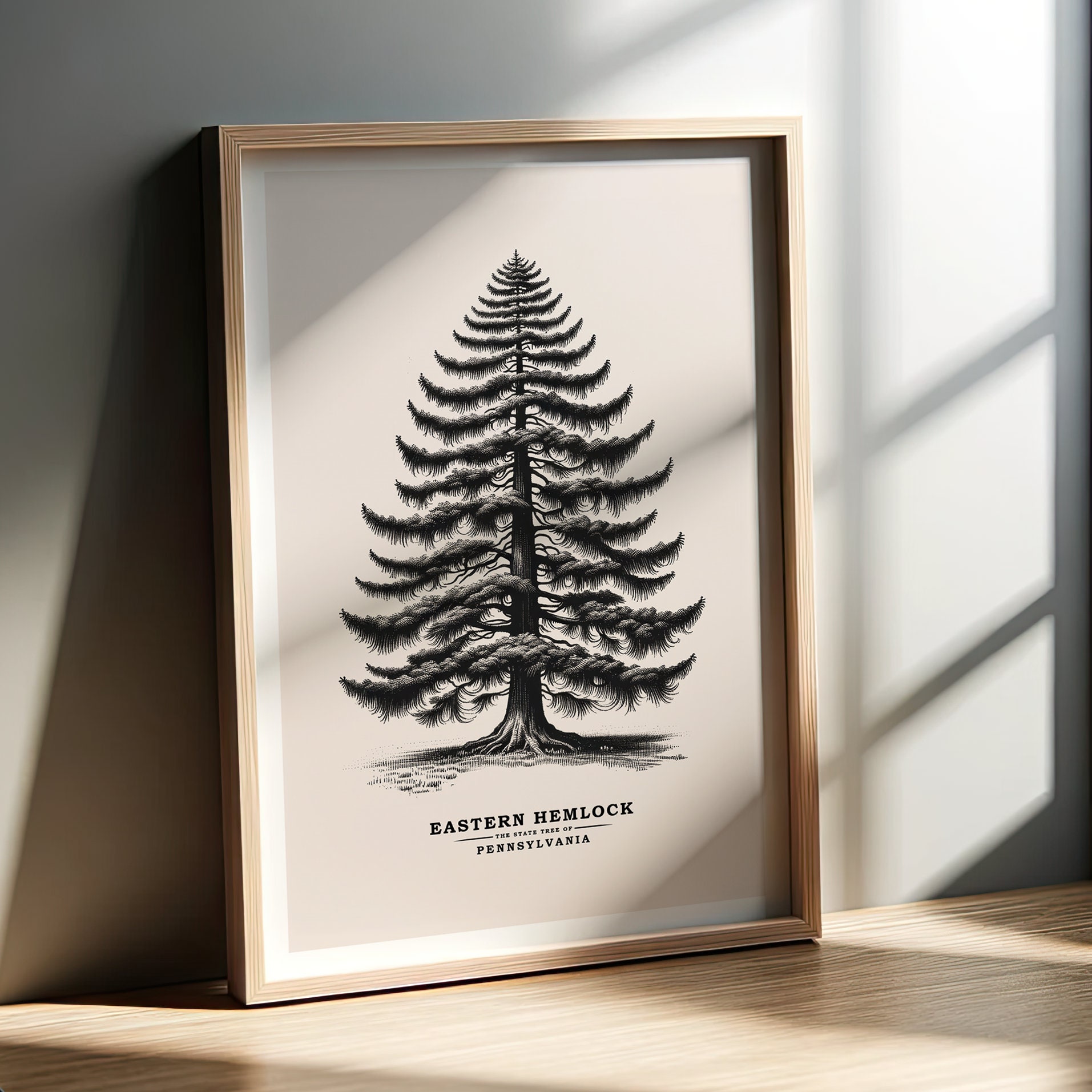 Pennsylvania Eastern Hemlock State Tree Vintage Sketch Tree - Etsy