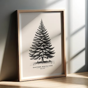 Maine State Tree | Eastern White Pine | Vintage Sketch | Tree Poster ...