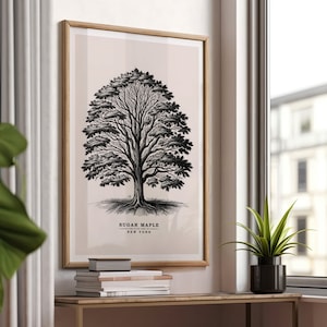 50 State Trees Vintage Sketch Bundle, Forest Print, Antique Tree ...