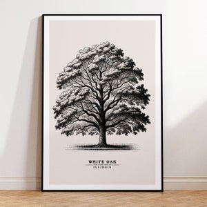 Illinois White Oak, State Tree, Vintage Sketch, Tree Poster, Antique ...