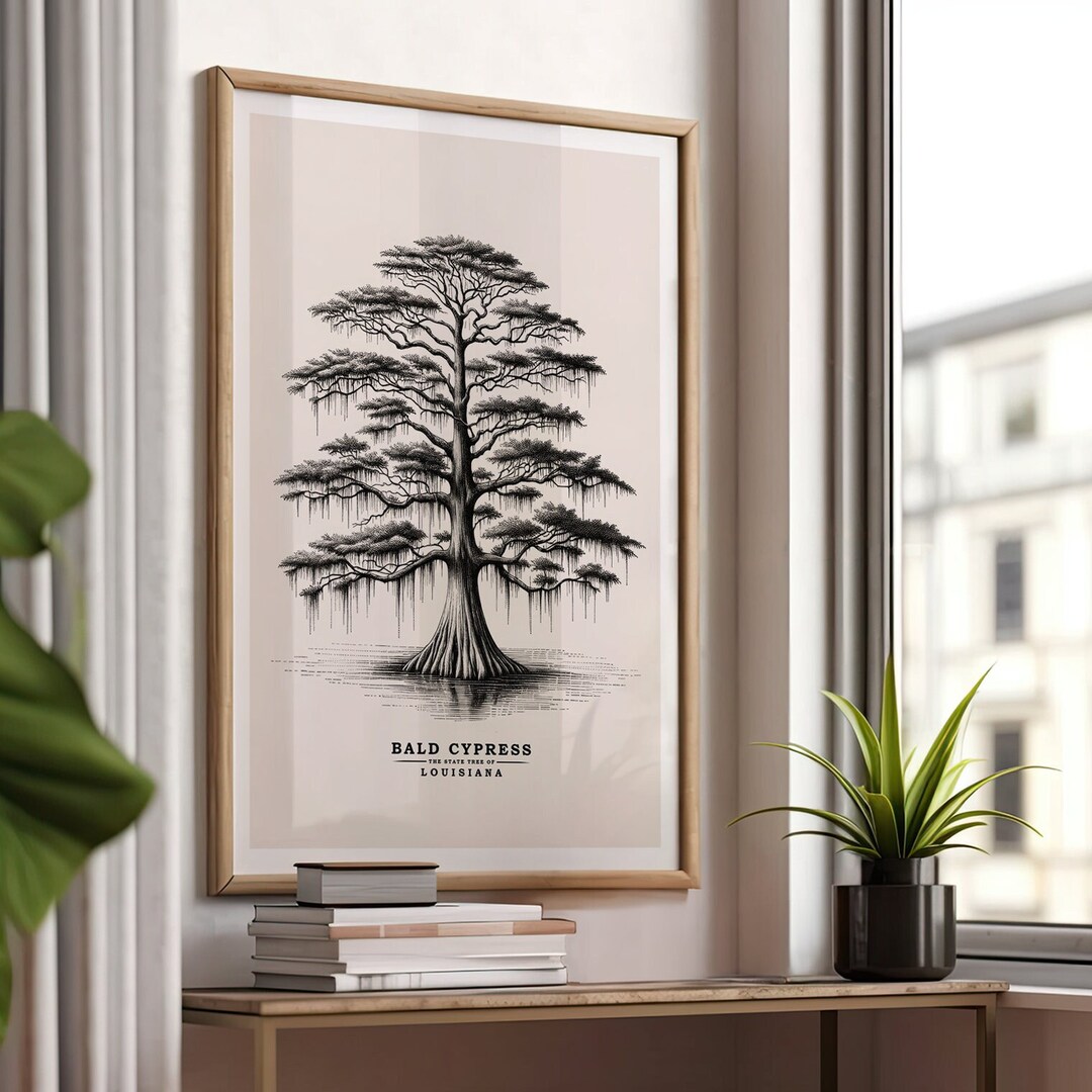 Louisiana State Tree | Bald Cyprus | Vintage Sketch | Tree Poster ...