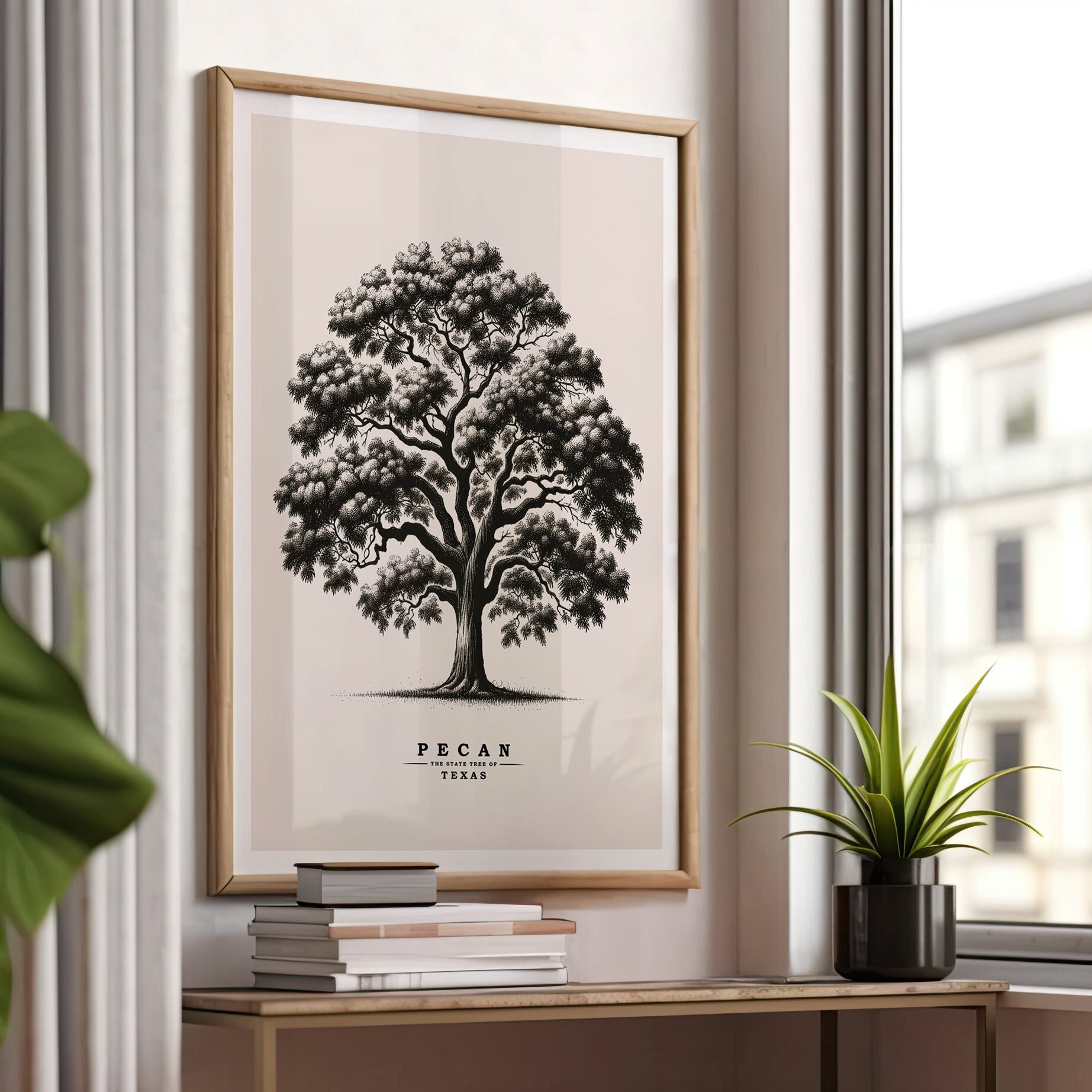 Pecan Tree Drawing