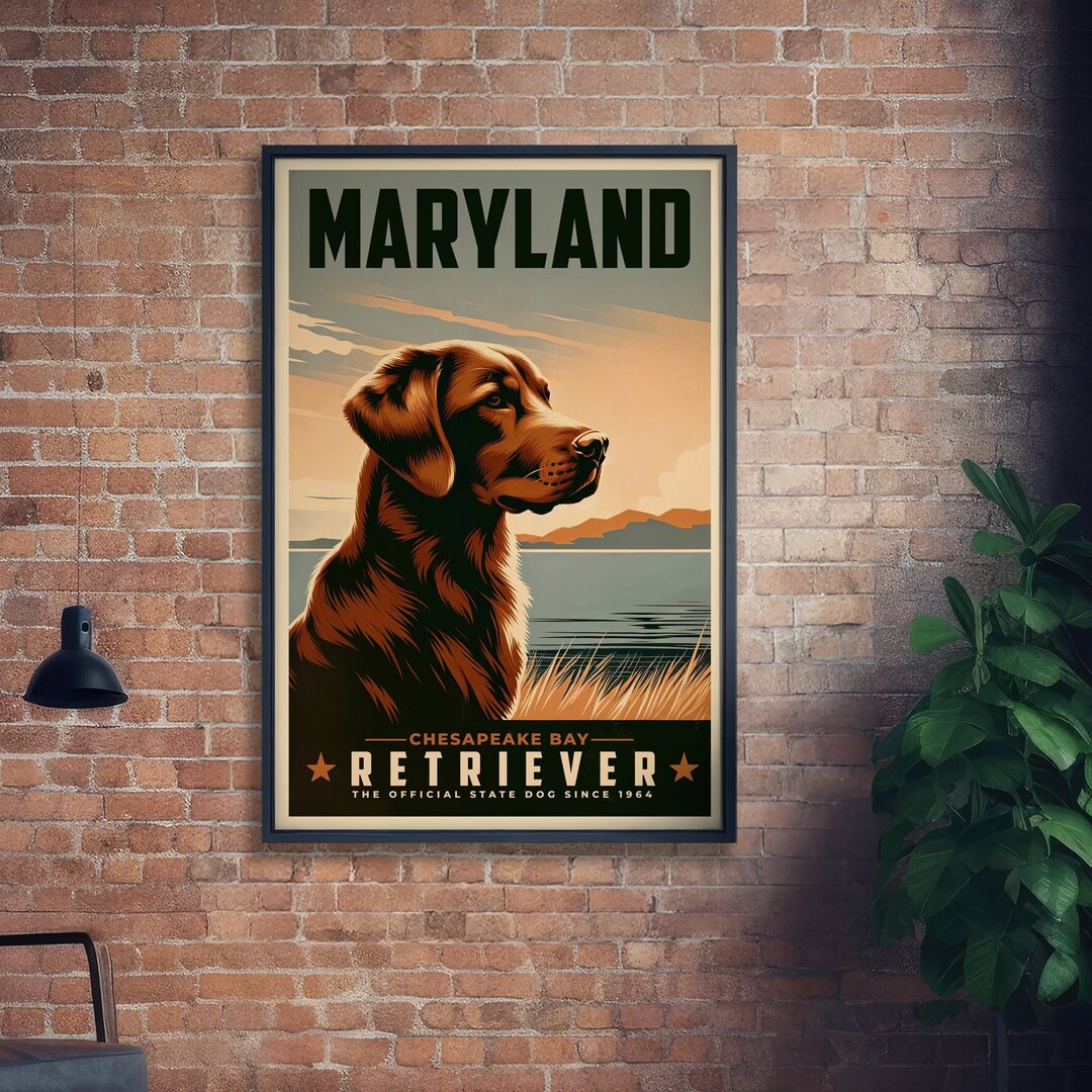 Maryland State Animal | Vintage Prints | Chesapeake Bay Retriever ...