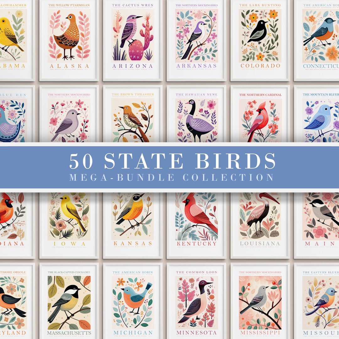 50 State Birds Gallery Wall Set, All 50 States Bundle, Bird Prints ...
