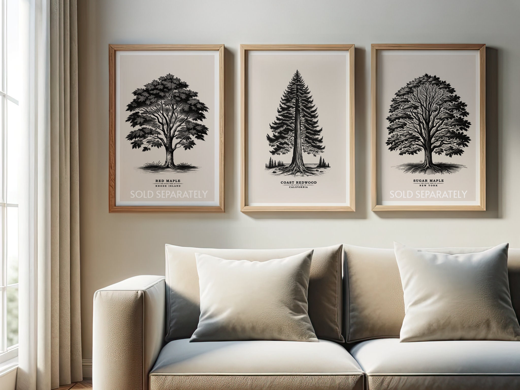California Coast Redwood State Tree, Vintage Sketch, Tree Poster ...